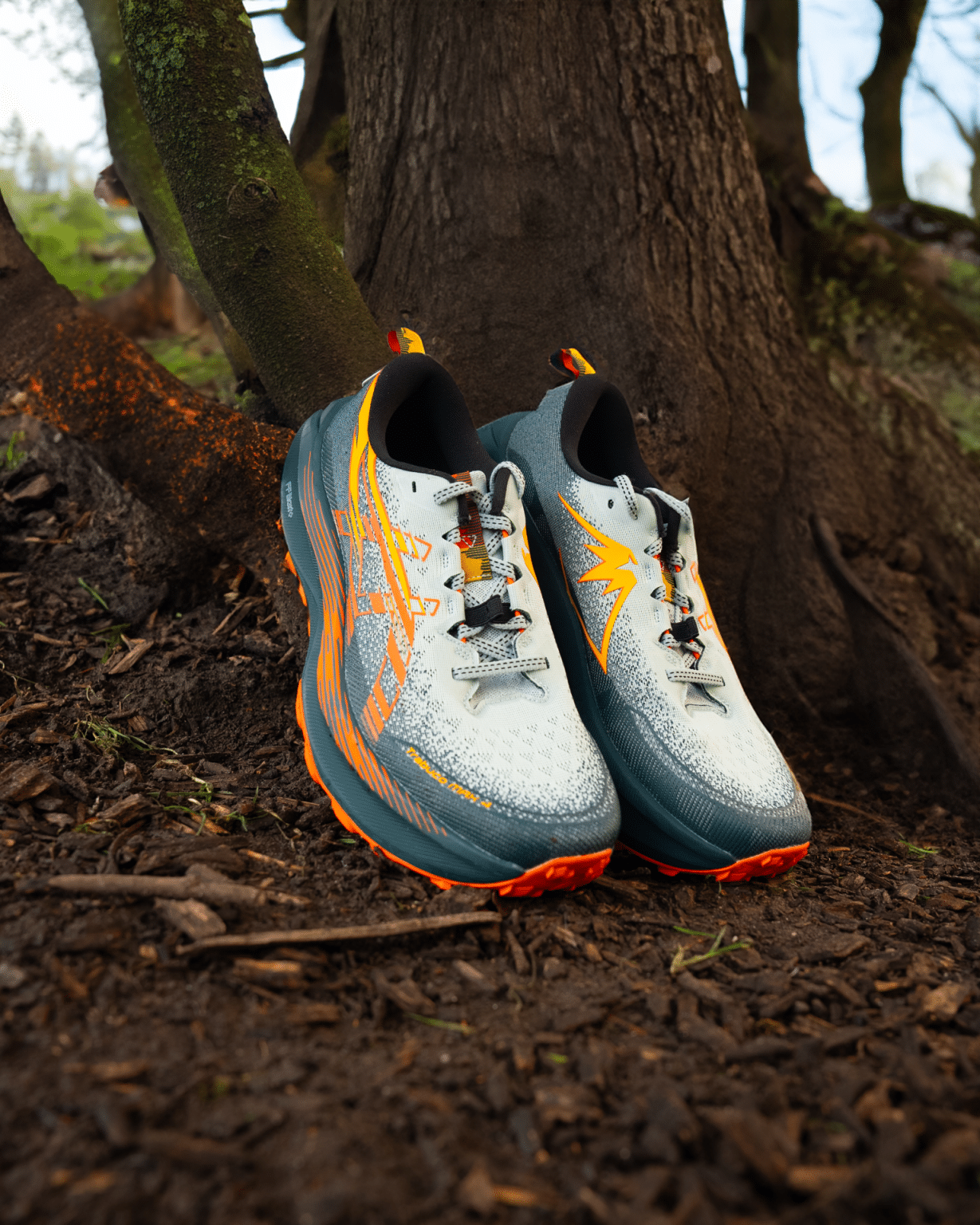 ASICS Trabuco Max 4 Review: Ready for (Almost) Anything